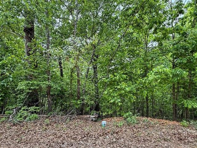 28077 Lame Deer Ridge Rd, Proctor, OK 74457