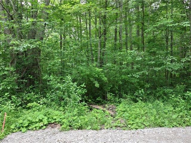 2807 Morningside Ave, Saybrook, OH 44004