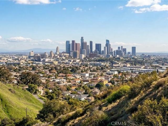 2807 N Thomas St, Los Angeles, CA 90031 | MLS #OC26058
