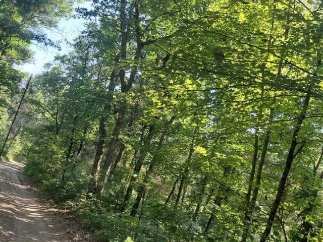 2807 Evergreen Dr Drive # Par C