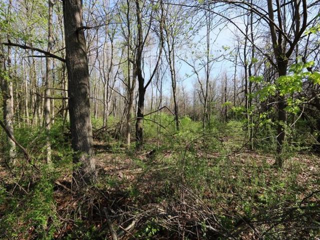 2807 S 13th St Unit TRACT1, Niles, MI 49120