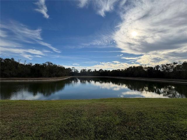 2808 Conch Hollow Dr, Brandon, FL 33511 | MLS #TB8495 | Compass
