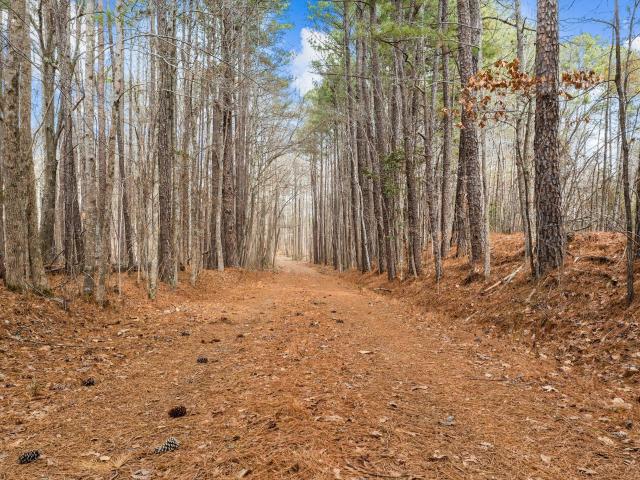 2809 Highway 64, Apex, NC 27523 | MLS #10133