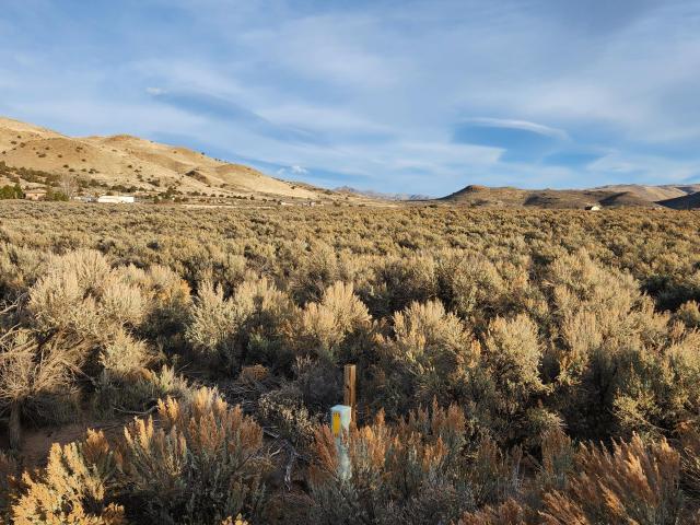 28000 Percheron Dr, Reno, NV 89508 | MLS #250059 | Compass