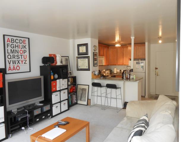 2800 N Lake Shore Drive # 1311