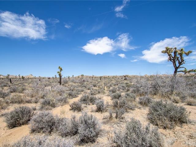 2800 Balsa Ave, Yucca Valley, CA 92284 | MLS #JT26050 | Compass