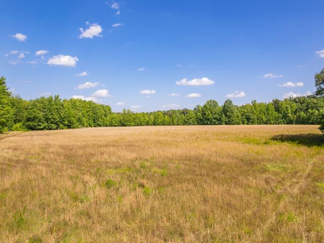 2800 Plainview Road