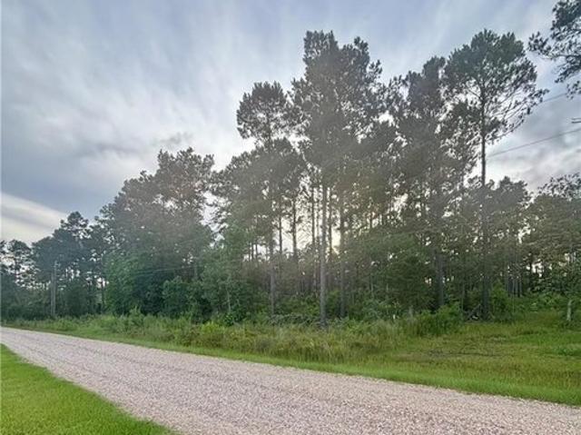 28019 Etta Blount Rd Lot 0, Albany, LA 70711