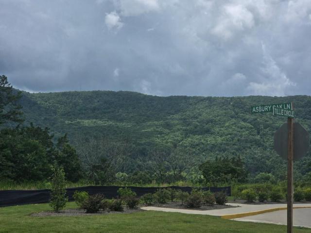 280 Asbury Oak Lane