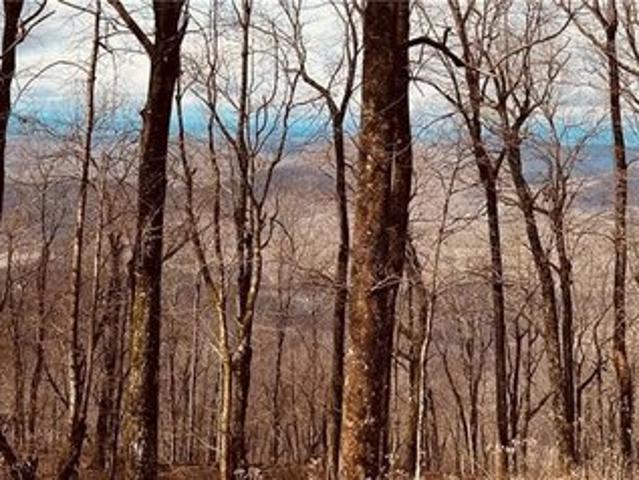 280 Big Stump Mountain Trl, Jasper, GA 30143