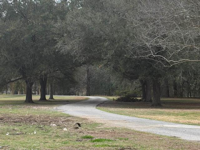280 Jean Lafitte Ave, Baton Rouge, LA 70810 | Compass