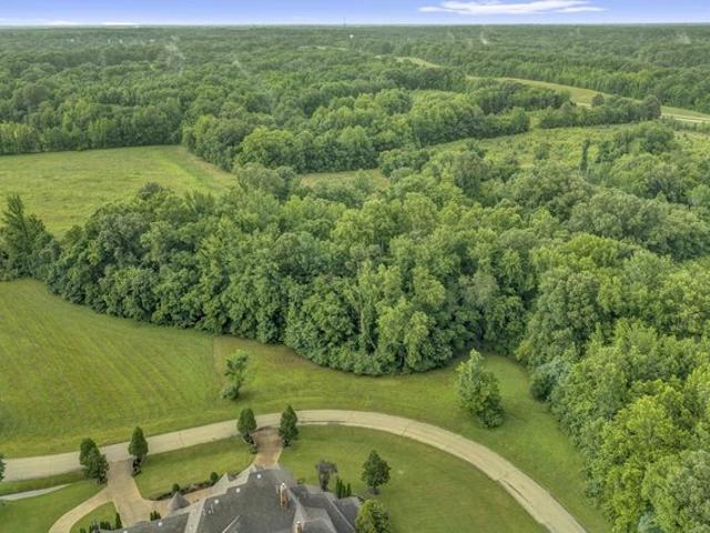 280 N Monterey Farms Cv Lot 23, Collierville, TN 38017