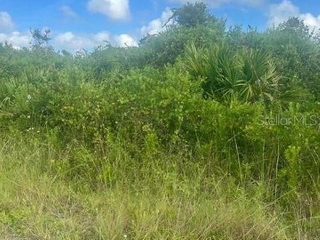 2814 68th St W, Lehigh Acres, FL 33971