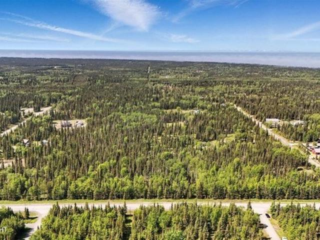 28194 N Cohoe Loop Rd, Kasilof, AK 99610