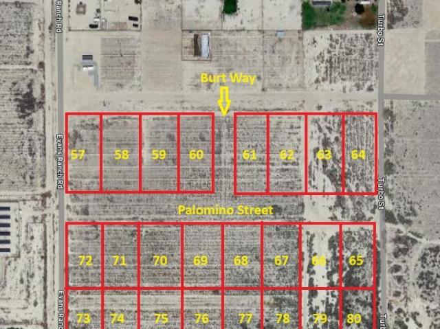 28103 Palomino Avenue