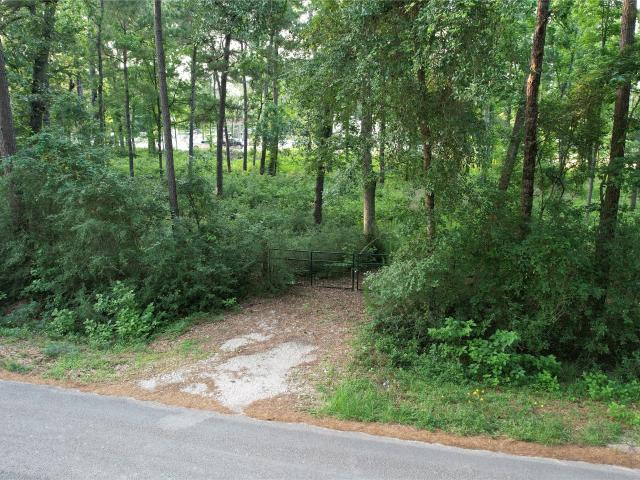 28102 Nichols Sawmill Rd, Magnolia, TX 77355 | MLS #57499 | Compass