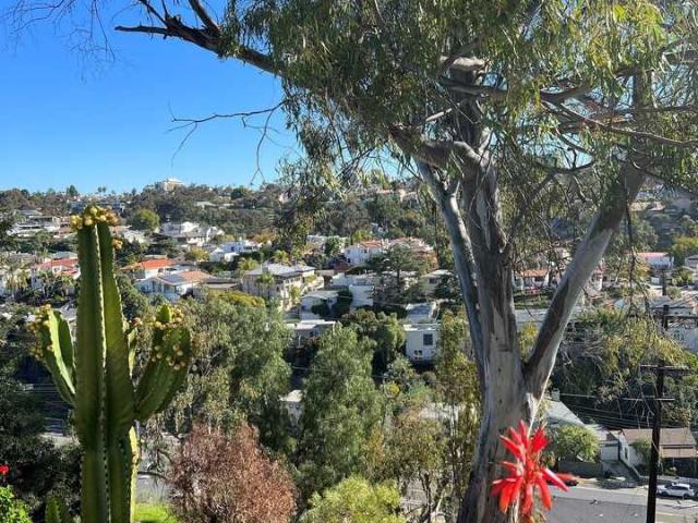 2810 Union Studio Apartment for Rent at 2810 Union St, San Diego, CA 92103 Midtown