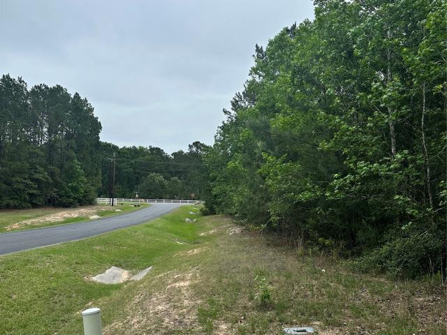 28117 Horse Shoe Ln, Waller, TX 77484 | MLS #61858