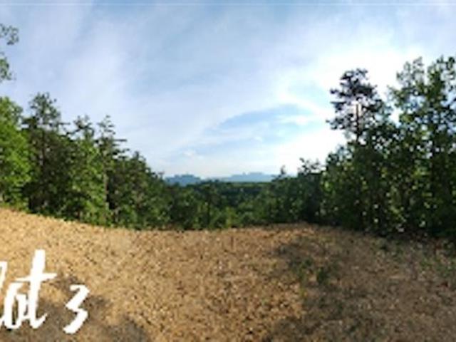 2811 Reese Mountain Rd, Elliston, VA 24087