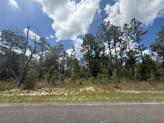 2812 W Edison Pl, Citrus Springs, FL 34433