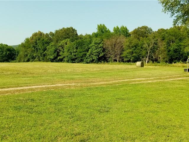 281 County Road 9953