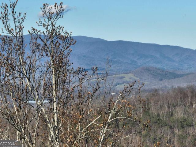 281 Andes Ridge