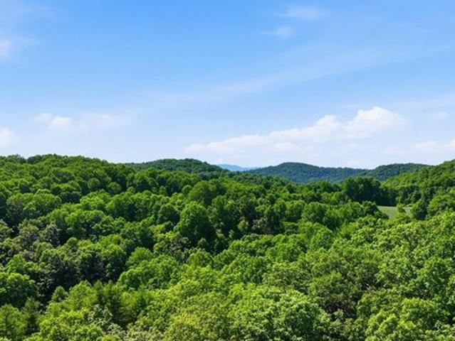 281 Buck Knob Rd, Scaly Mountain, NC 28775