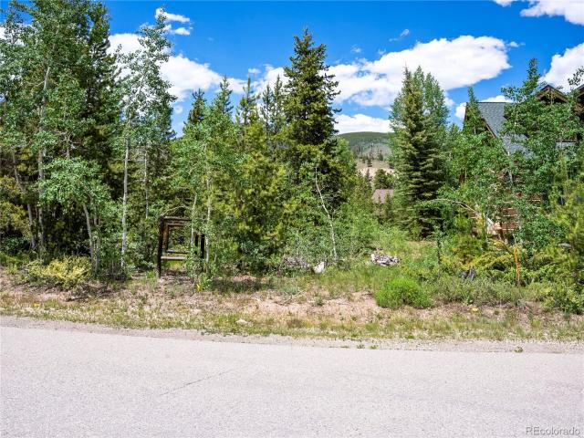 281 Elk Cir, Dillon, CO 80435 | MLS #5165