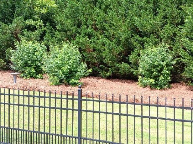 281 Petal Creek Lane