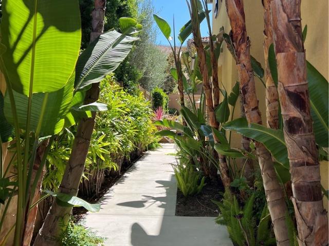 28258 Camino Del Rio