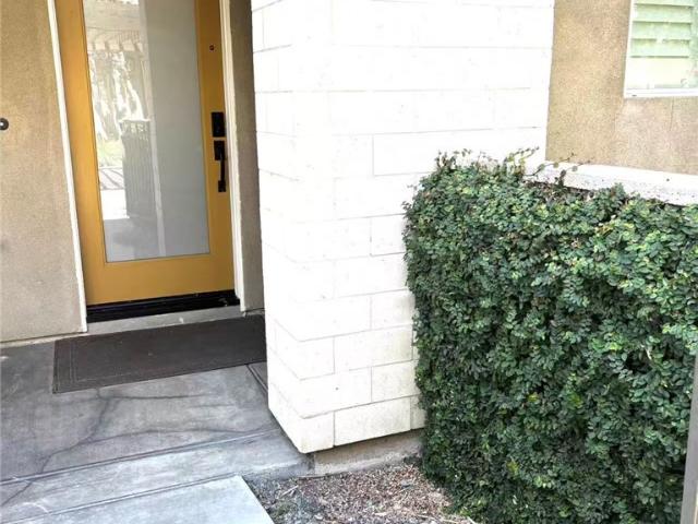 2825 Lily Lane