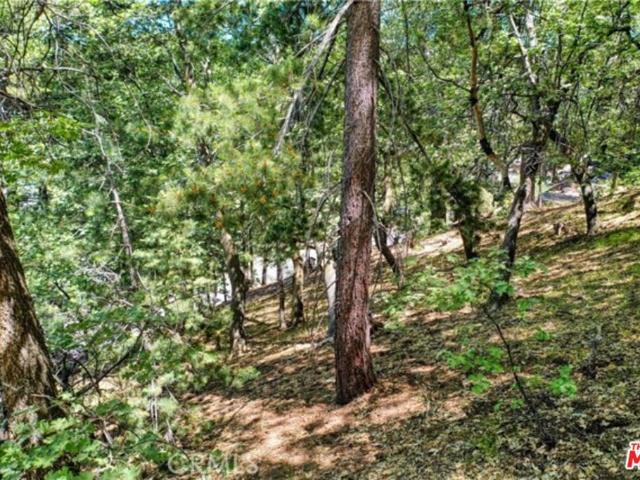 28270 Arbon Lane