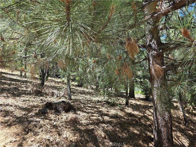 28276 Arbon, Lake Arrowhead, CA 92352
