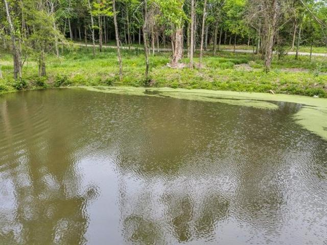 2827 Unionville Rd, Chapel Hill, TN 37034