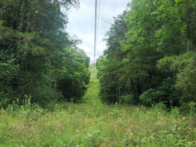 2828 Athens Boonesboro Road