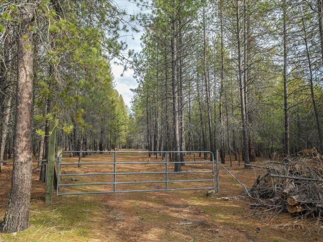 28202 N Bruce Rd, Chattaroy, WA 99003 | MLS #202615