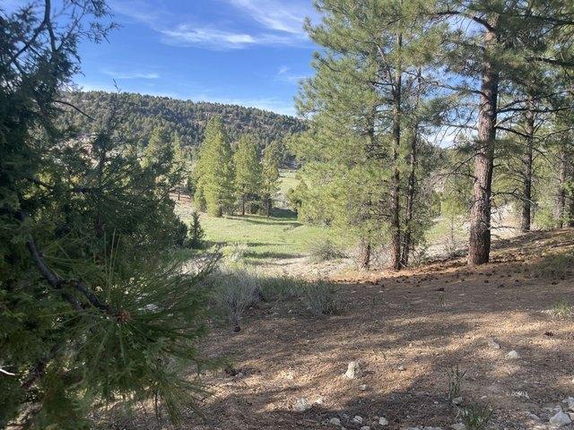 2820 N Dead Horse Loop, Alton, UT 84710