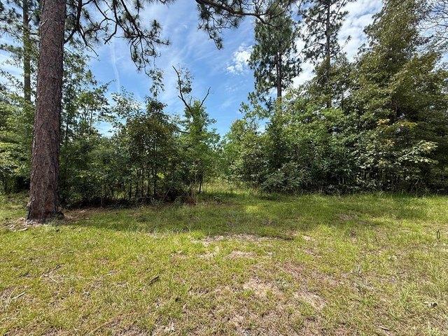 2821 Sunset Dr Lot 47, Donalsonville, GA 39845
