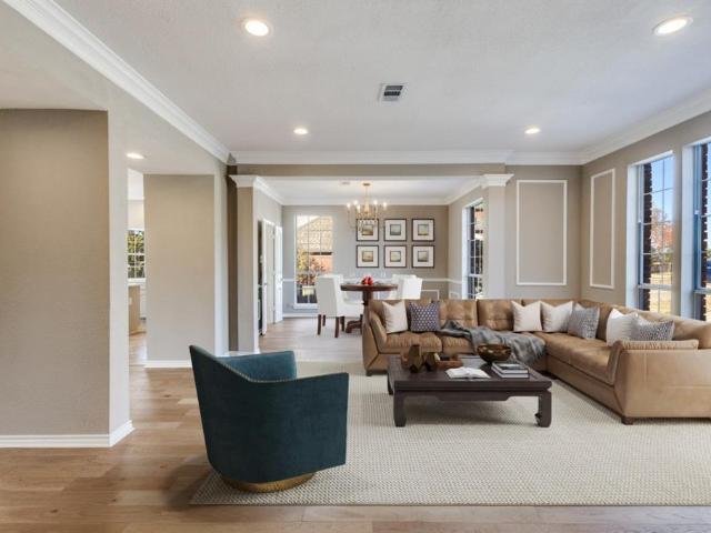 2822 Roundrock