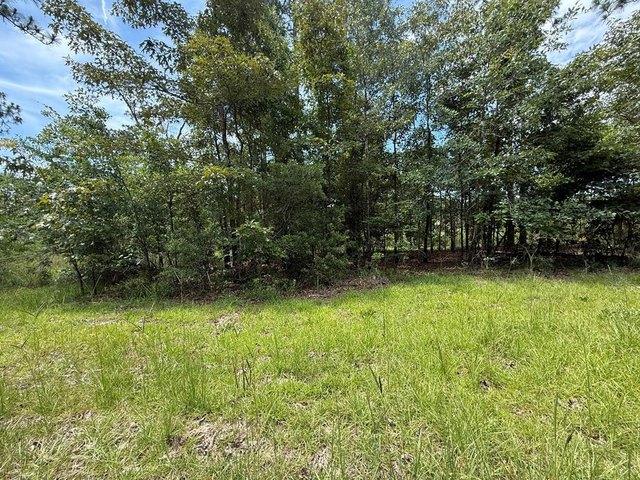 2823 Sunset Dr Lot 46, Donalsonville, GA 39845