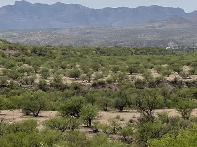 282 Ciuta Corte Unit 85, Rio Rico, AZ 85648