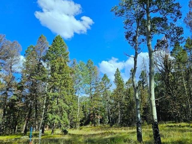 282 Aspen Trl, Cimarron, CO 81220