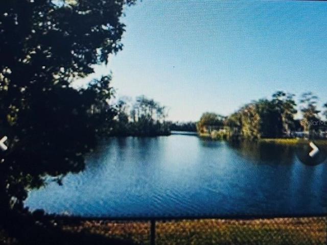 282 Seal St, Kissimmee, FL 34743