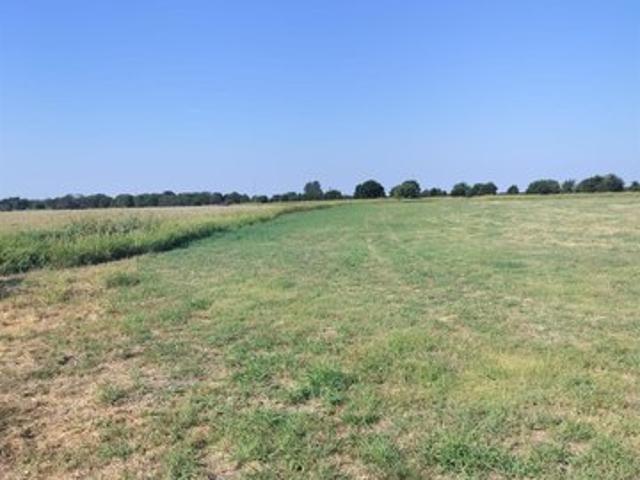2834 State Highway 81, Itasca, TX 76055