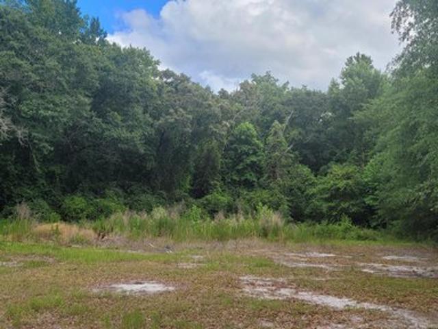 28379 NC Highway 210, Currie, NC 28435