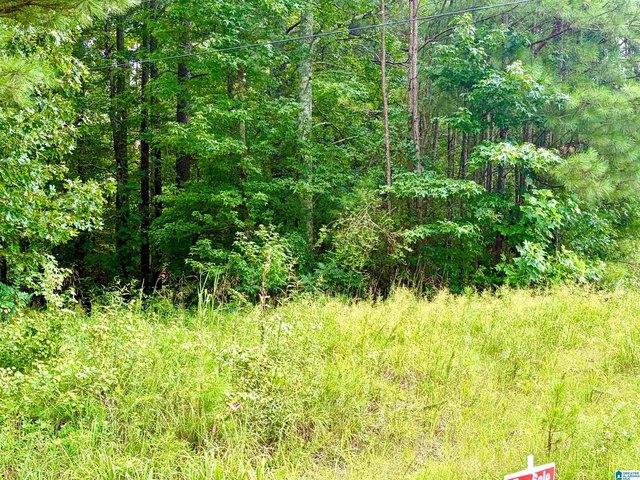 2837 Lehigh Rd Lot 1, Trafford, AL 35172