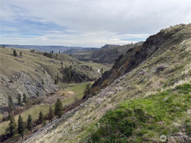 2830 Antoine Creek Rd, Chelan, WA 98816 | MLS #2501