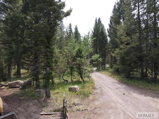 2831 Morning Dew Dr, Island Park, ID 83429 | Compass