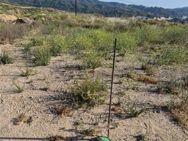 2833028, Newhall, CA 91321