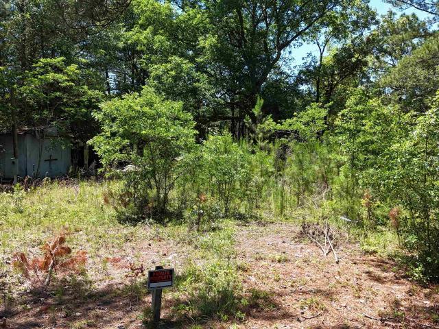 283 Cook Road